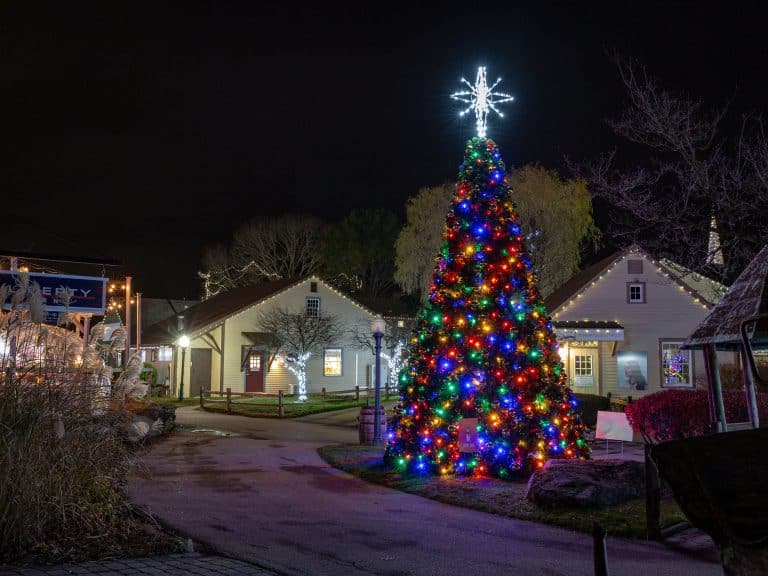 Commercial Panel Trees | Customizable | Holiday Outdoor Decor