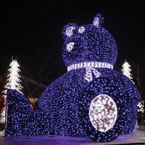 Animated Outdoor Christmas Ground Displays