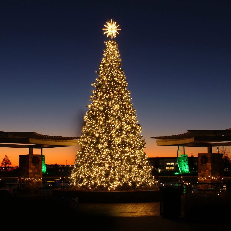 LED Mini Light Branch Tree | Multiple Sizes & Colors | Holiday Outdoor ...