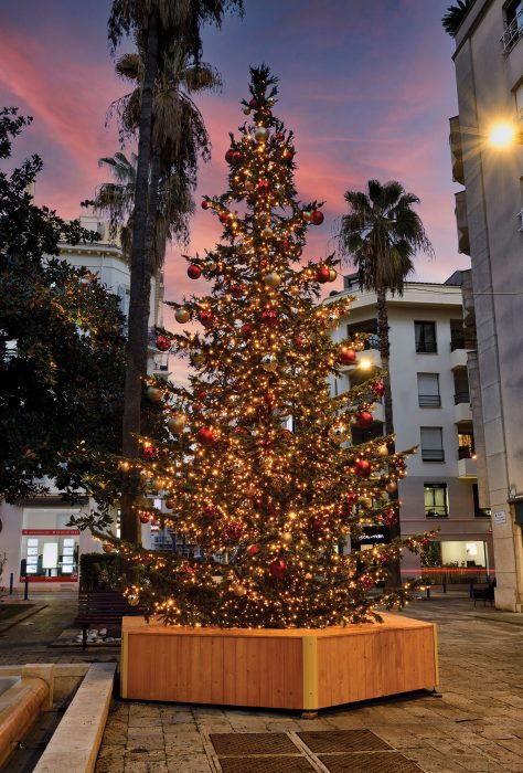 Nordika Tree Display | Holiday Outdoor Decor